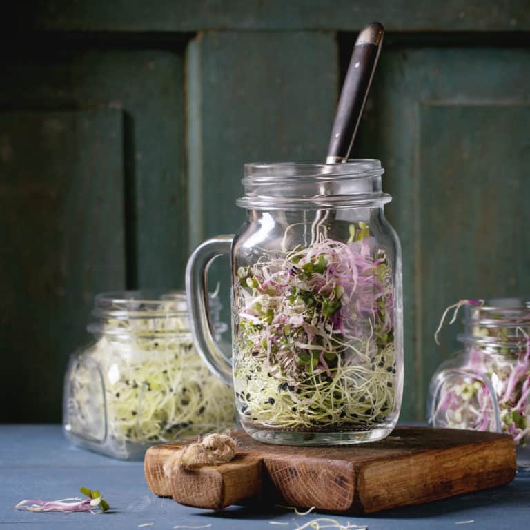 The Essential Sprouting Guide: How To Grow Sprouts at Home » RusticWise