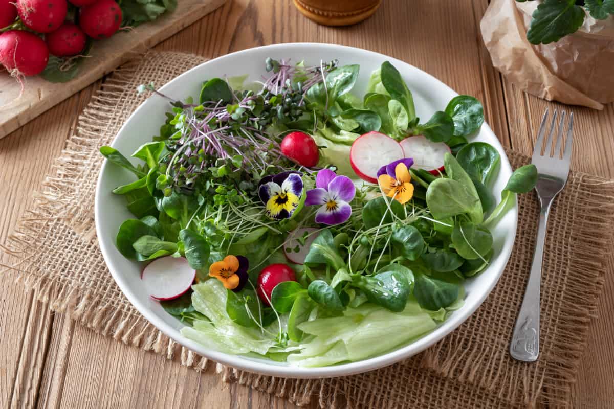 How Do You Eat Microgreens: Recipes, Flavor Profiles and Pairings ...