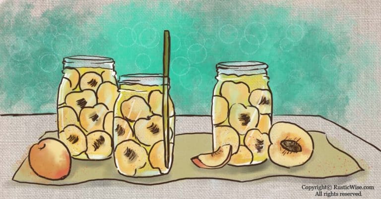 Headspace in Canning: What It Is and Why It Matters » RusticWise