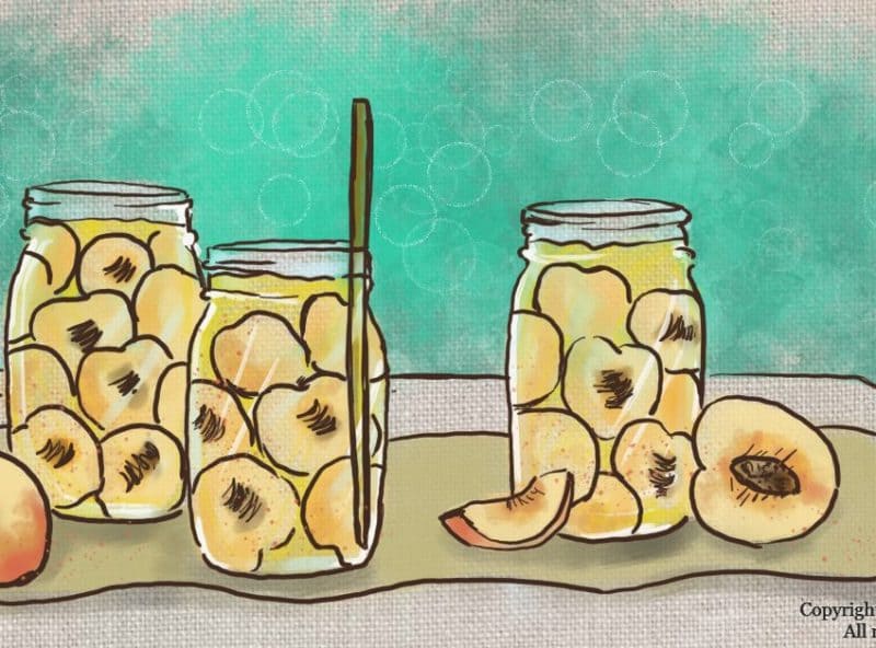 Headspace in Canning: What It Is and Why It Matters - RusticWise