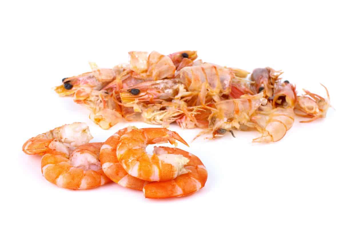 Can You Compost Shrimp Shells? How Shrimp Shells Help Your Garden ...