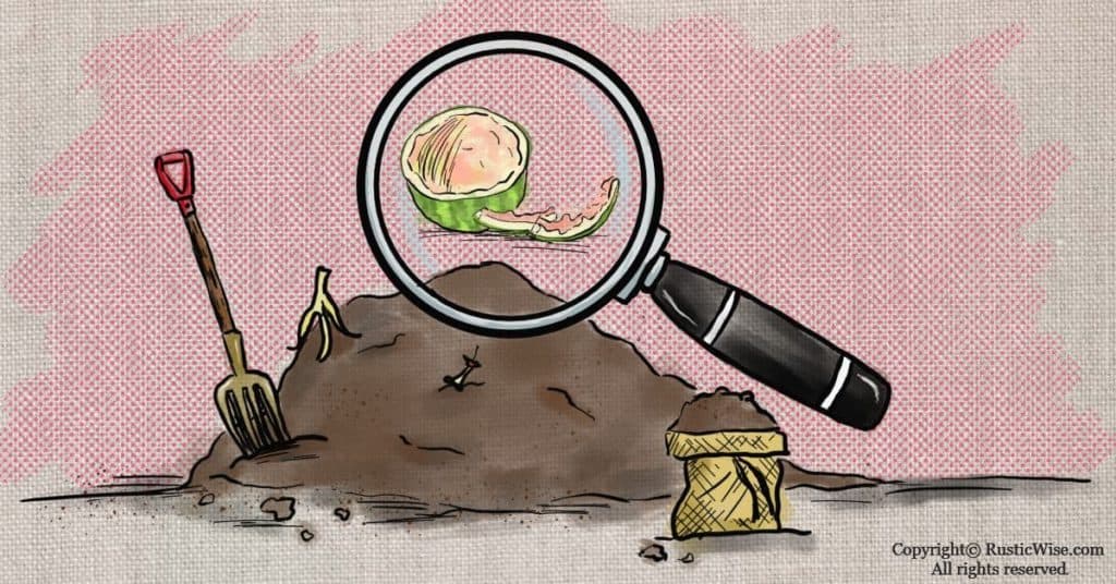 Sprout Safety: 10 Ways To Kill Bacteria on Sprouts From Seed To Plate ...