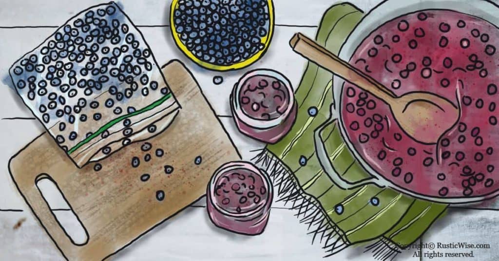 Foraging: How to Eat the Cattail Plant + 5 Tasty Cattail Recipes ...